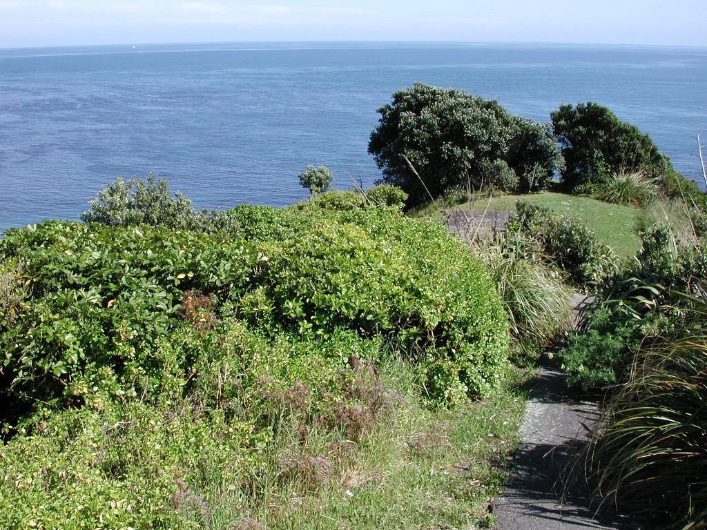 Walkway_to_Brendan_Beach – Pukerua Bay, New Zealand