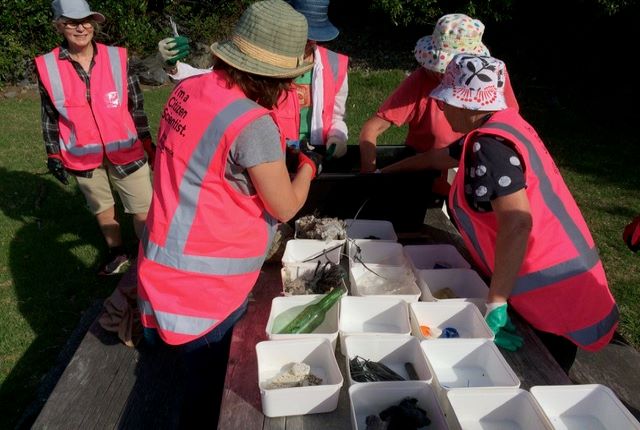 Litter Survey – Pukerua Bay, New Zealand