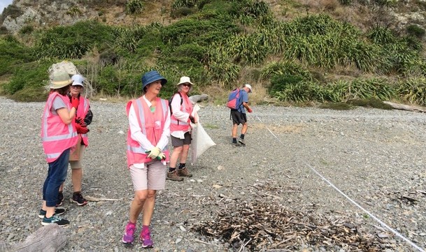 Litter Survey results – Pukerua Bay, New Zealand