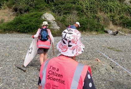 Litter Survey – Pukerua Bay, New Zealand