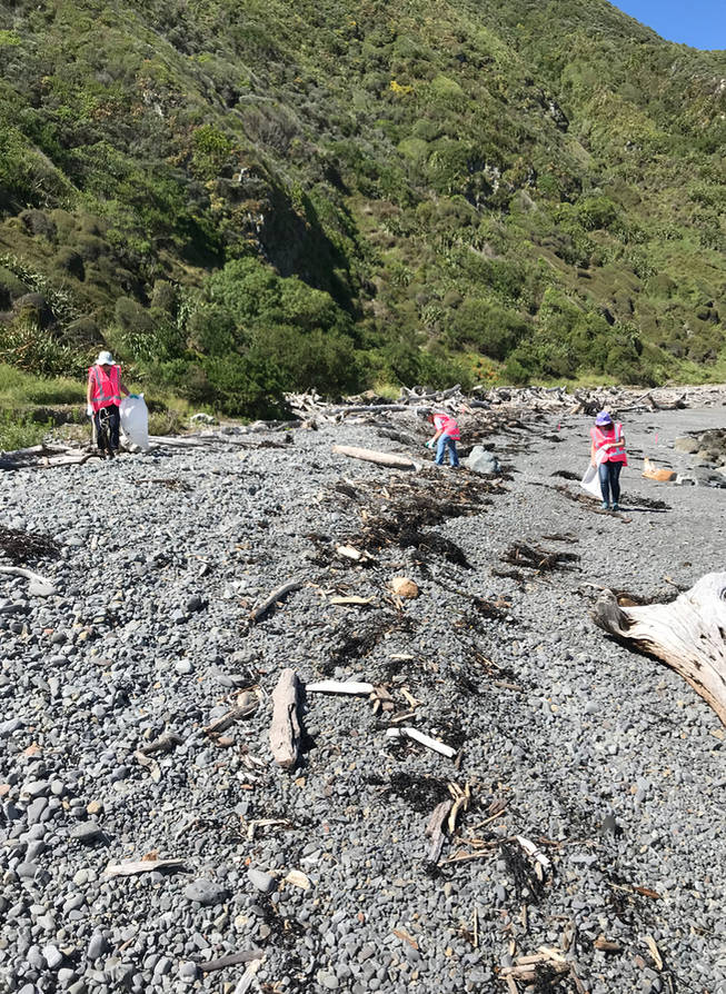 Litter Survey results for December 2020 – Pukerua Bay, New Zealand