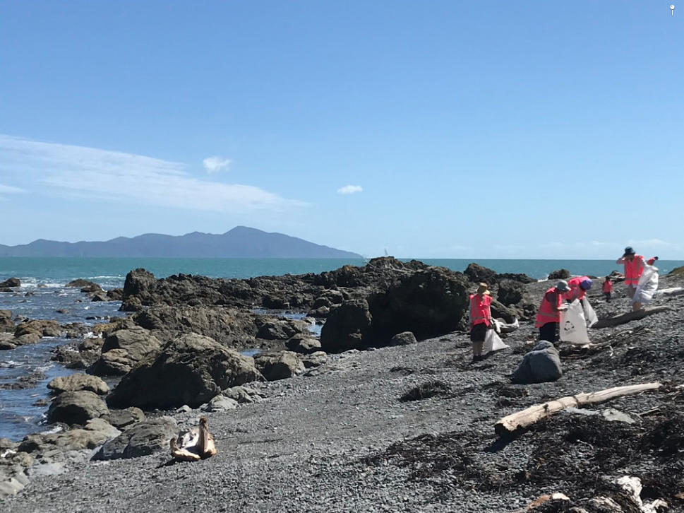 Litter Survey results for December 2020 – Pukerua Bay, New Zealand