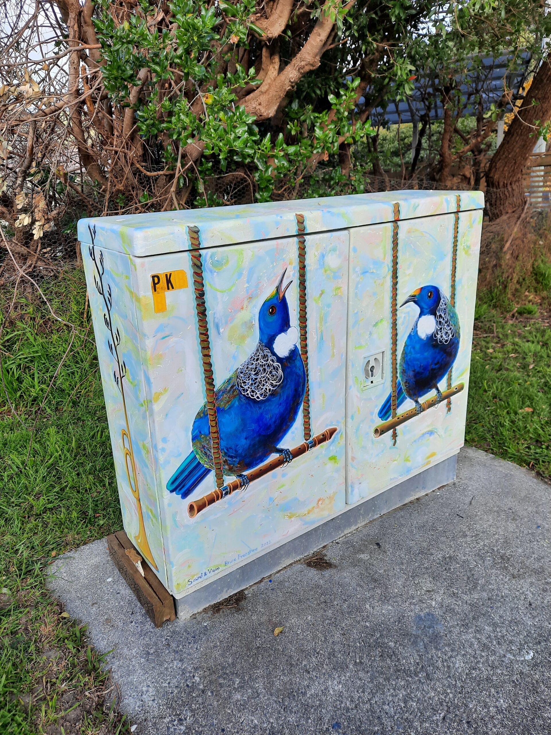 Chorus Box Tui – Pukerua Bay, New Zealand